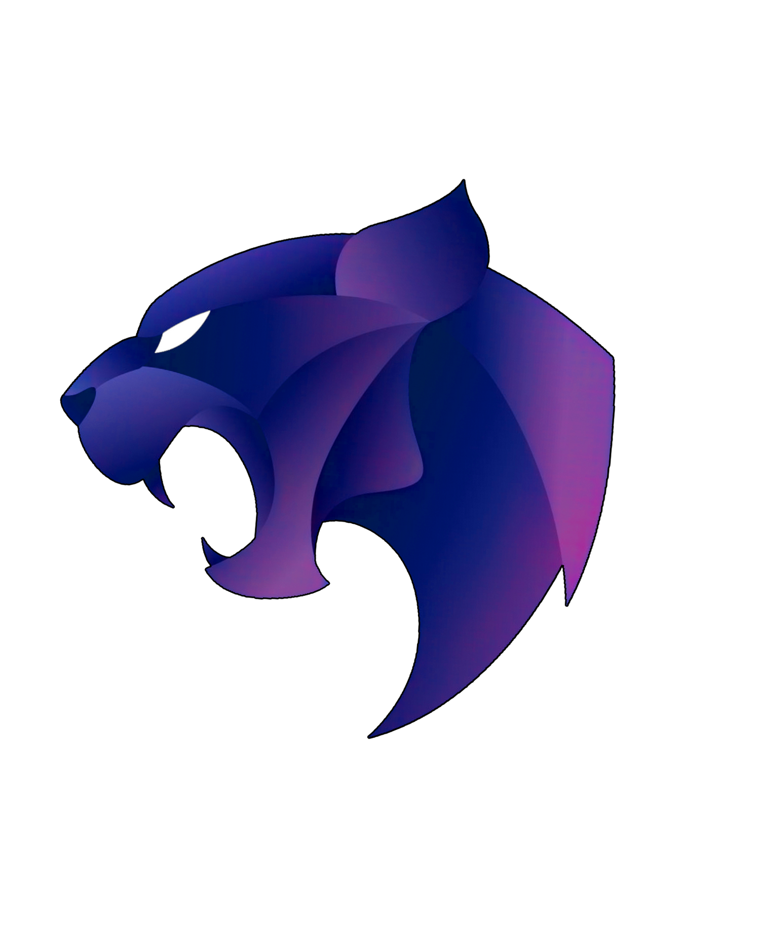 EPCHS Panthers – EPIC Apparel